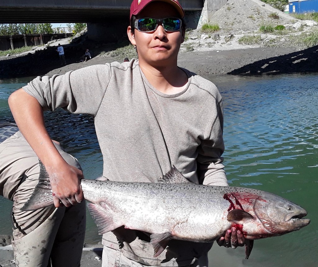 Spin Your Reels Alaska Guide Service – Unique Alaskan Adventures